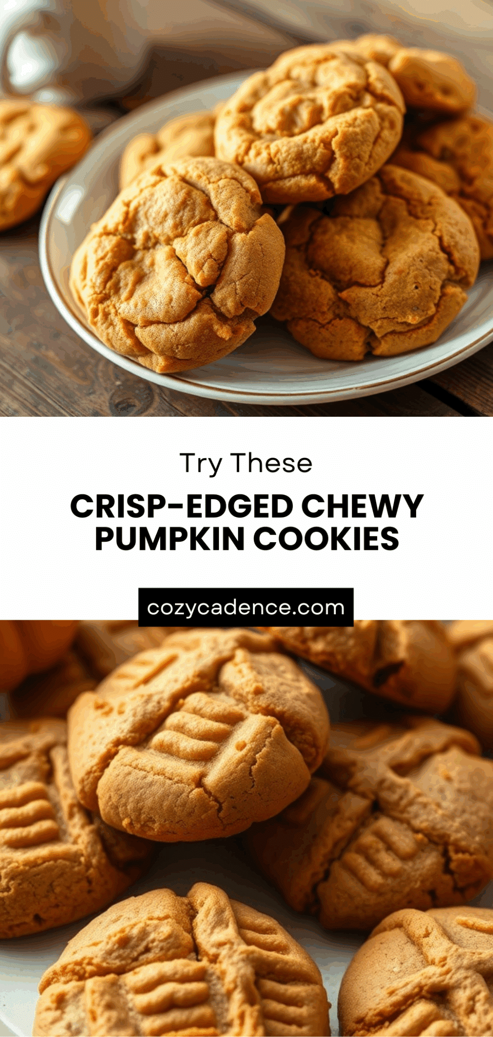 Pumpkin Cookies with Crunchy Crust Recipe - Cozy Cadence